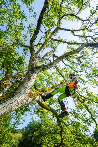 Courant Kanopa 12.1 mm 16 Strand Canada – Coast Ropes and Rescue