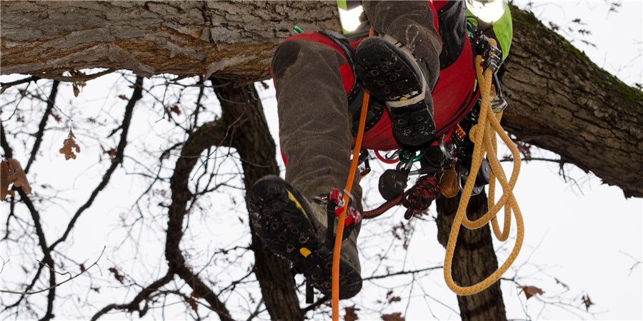 Harken NINJA FOOT ASCENDER Canada – Coast Ropes and Rescue